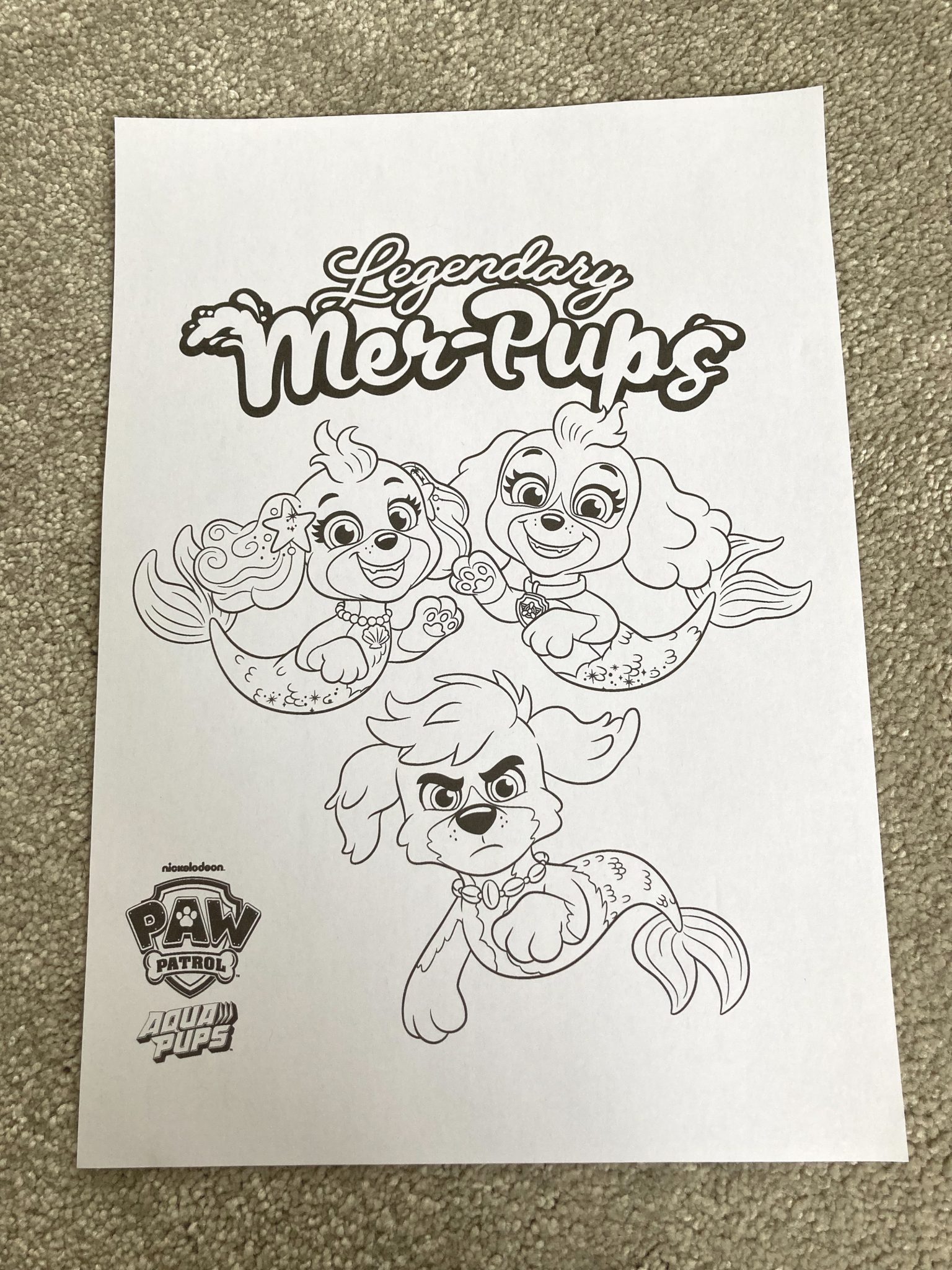 Free Paw Patrol Colouring Sheets 2025 - Suzi Lewiz