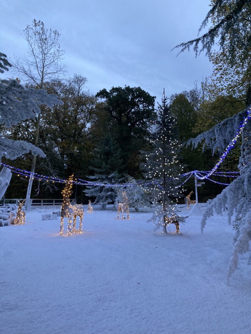 Longleat Santa Train Review - Suzi Lewiz